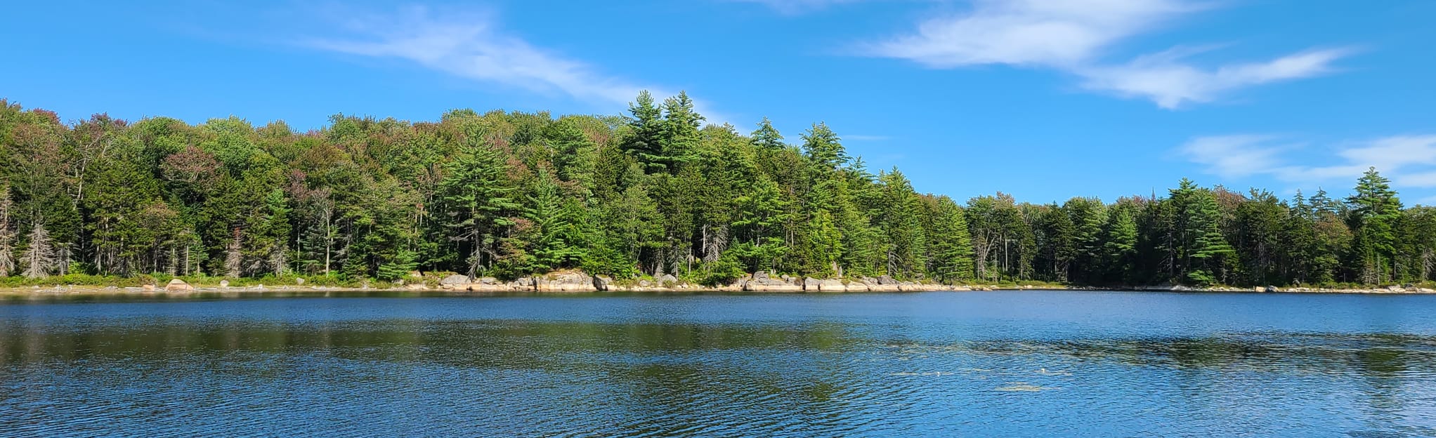 Brewer Lake Trail, New York - 59 Reviews, Map | AllTrails