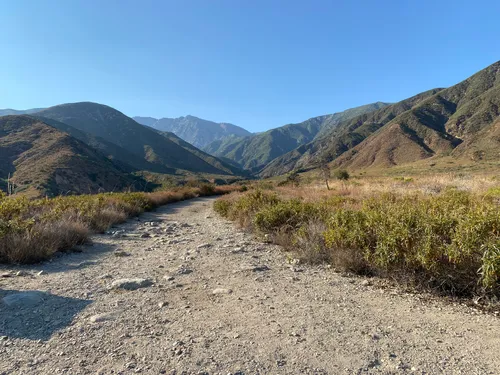 10 Best Trails and Hikes in Rancho Cucamonga | AllTrails