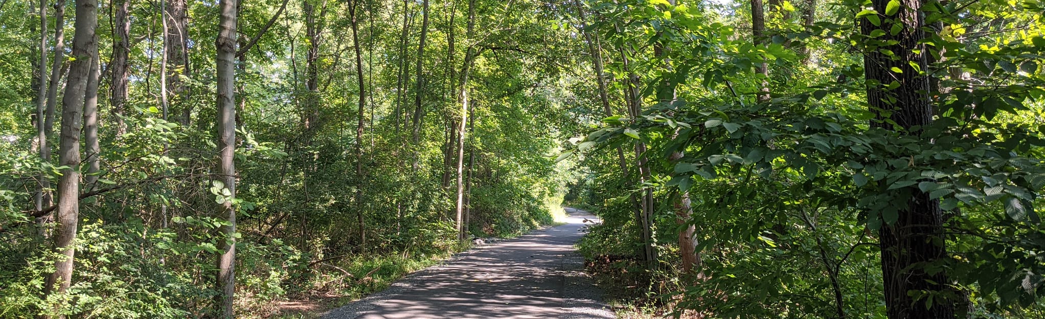 Sugarland Run and Folly Lick Loop, Virginia - 70 Reviews, Map | AllTrails