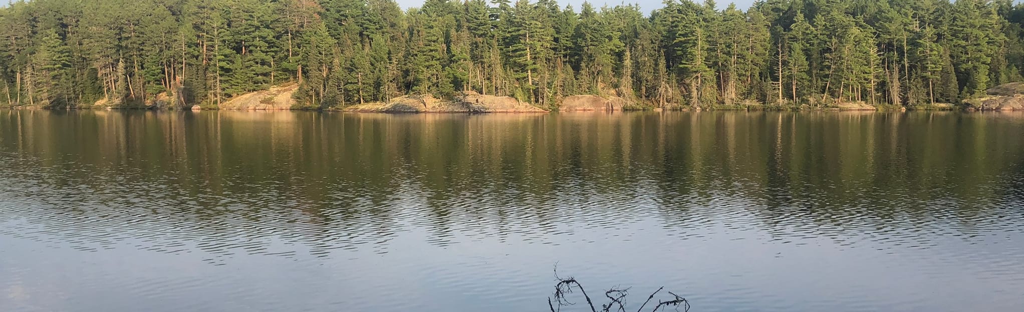 Angleworm Lake Trail: 77 Reviews, Map - Minnesota | AllTrails