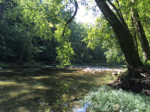 Best Hikes and Trails in Hall Woods Nature Preserve | AllTrails