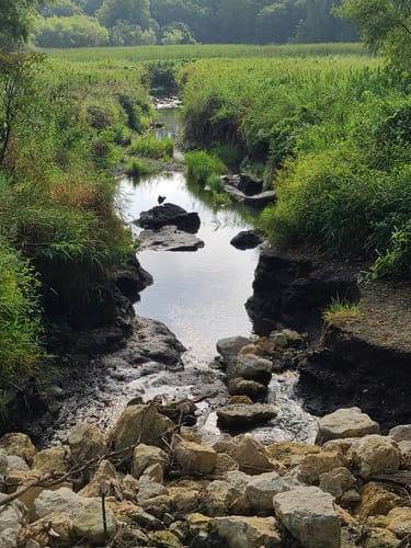 Best Hikes and Trails in Steve Michaud Park | AllTrails