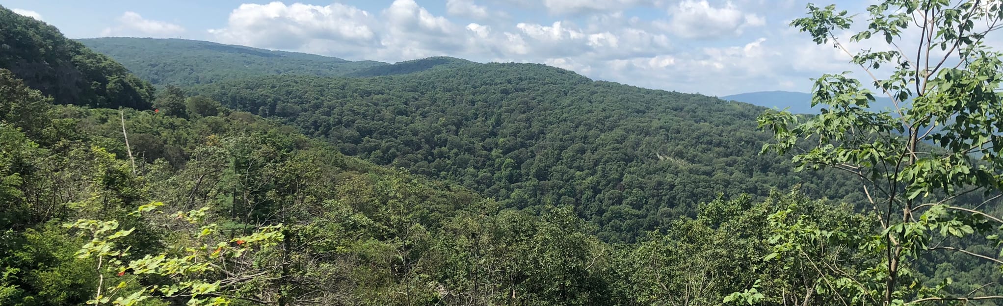 Greenstone Overlook Trail: 55 Reviews, Map - Virginia | AllTrails