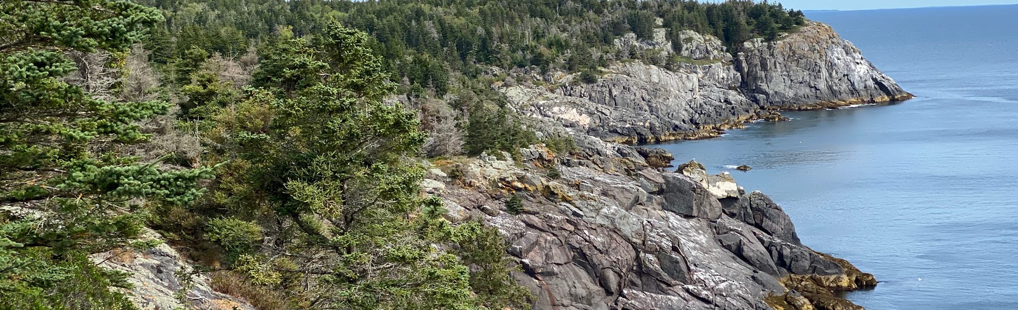 Whitehead Trail, Maine - 79 Reviews, Map | AllTrails