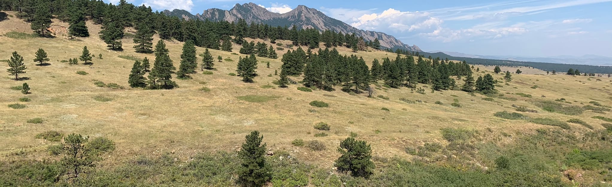 Marshall Mesa and Dowdy Draw: 72 Reviews, Map - Colorado | AllTrails
