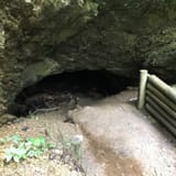 Peg Leg Mine Trail, Tennessee - 79 Reviews, Map | AllTrails