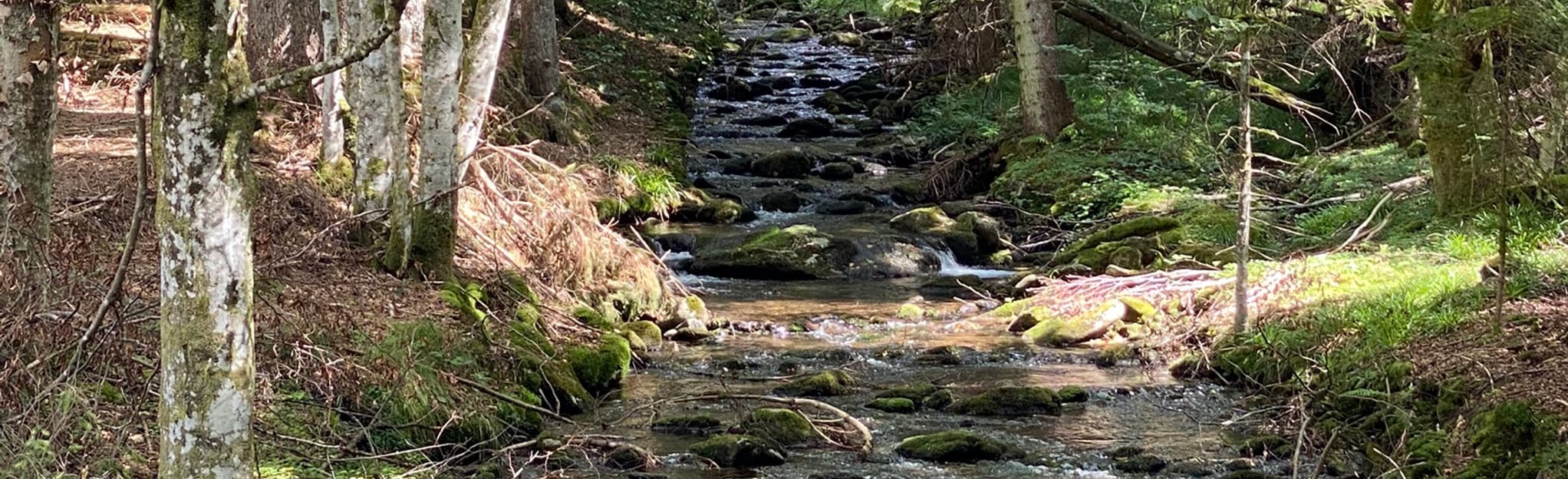 Forelle Rundweg - Bayern, Germany | AllTrails