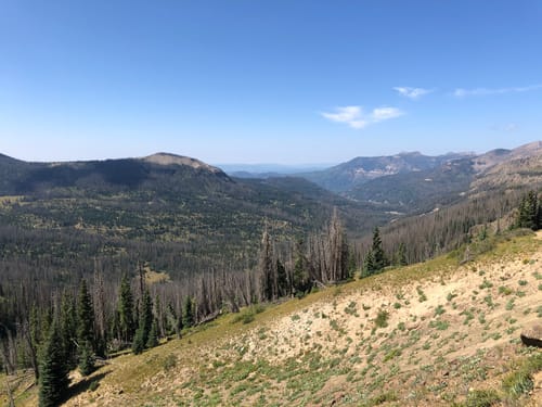 2023 Best 10 Camping Trails in Rio Grande National Forest, Divide ...