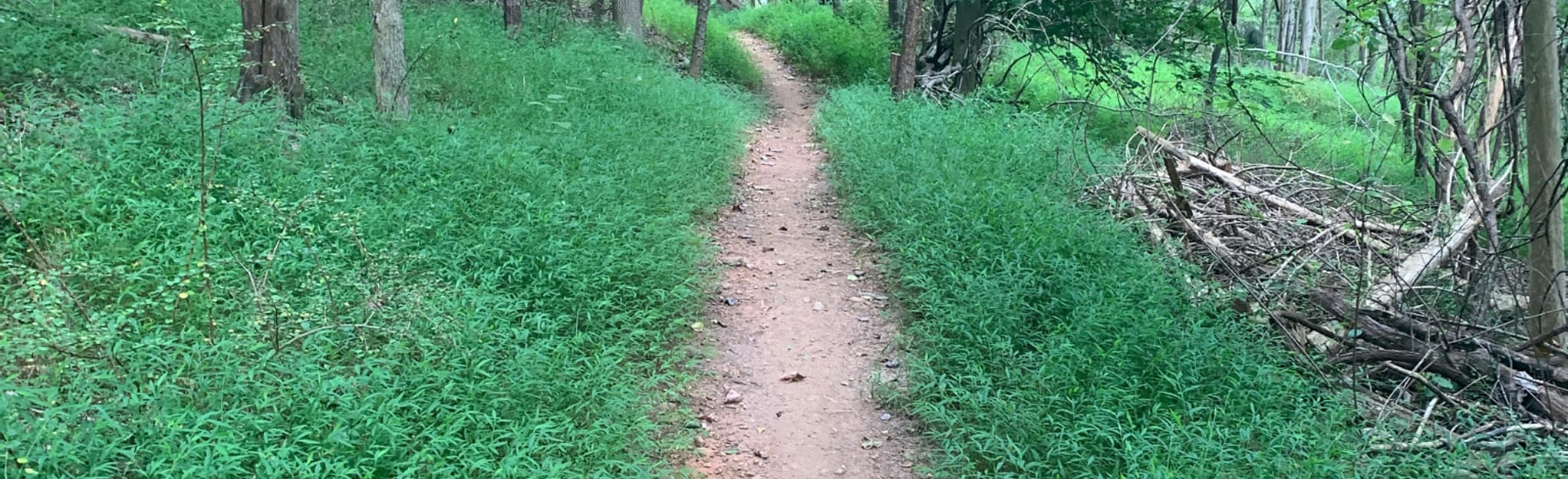 North Branch and Kengla Trail Loop: 74 Reviews, Map - Maryland | AllTrails