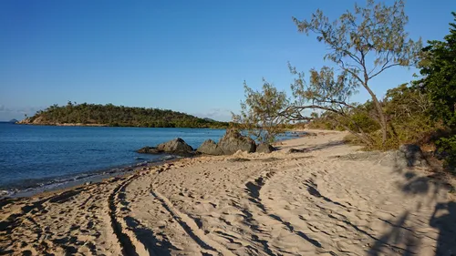 Best Hikes and Trails in Hideaway Bay - Dingo Beach | AllTrails