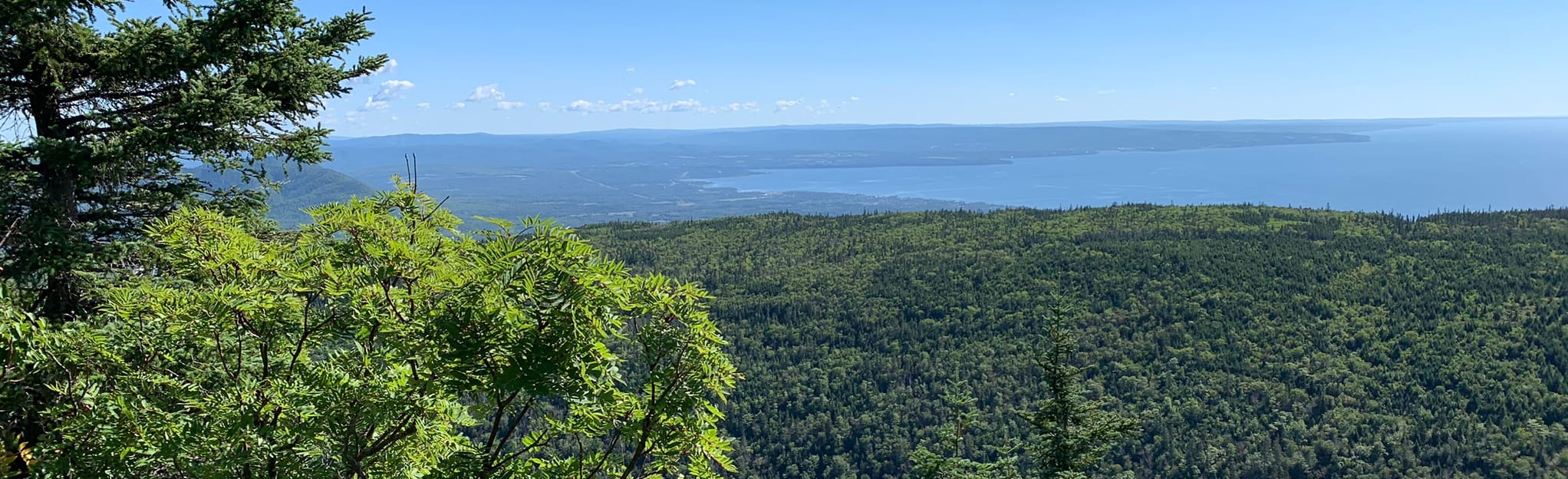 Mount Carleton Trail: 24 Reviews, Map - Quebec, Canada | AllTrails