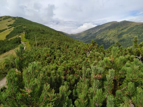 Best 10 Hikes and Trails in Low Tatras National Park | AllTrails