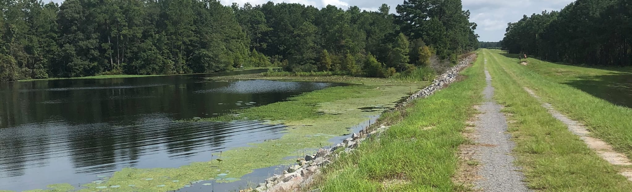 Palmetto Trail Lake Moultrie Passage - South Carolina | AllTrails