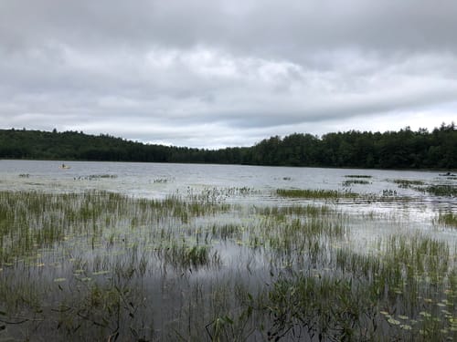 Best Hikes and Trails in Brant Lake | AllTrails