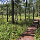 Karick Lake South Campground, Florida - 145 Reviews, Map | AllTrails