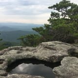 Little Lost Cove Cliffs, North Carolina - 140 Reviews, Map | AllTrails