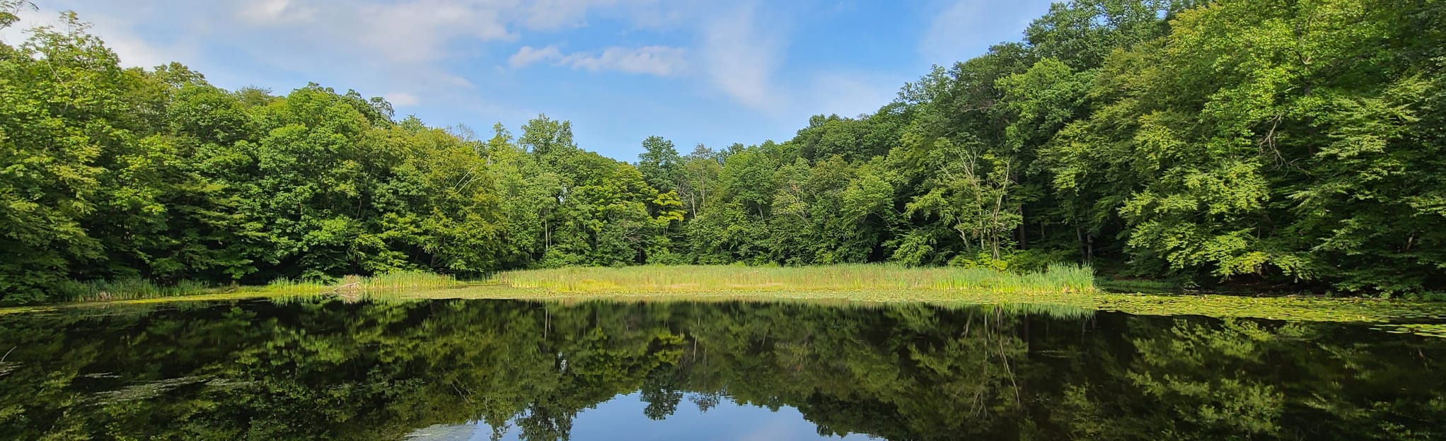 Five Ponds Loop: 424 Reviews, Map - New Jersey | AllTrails