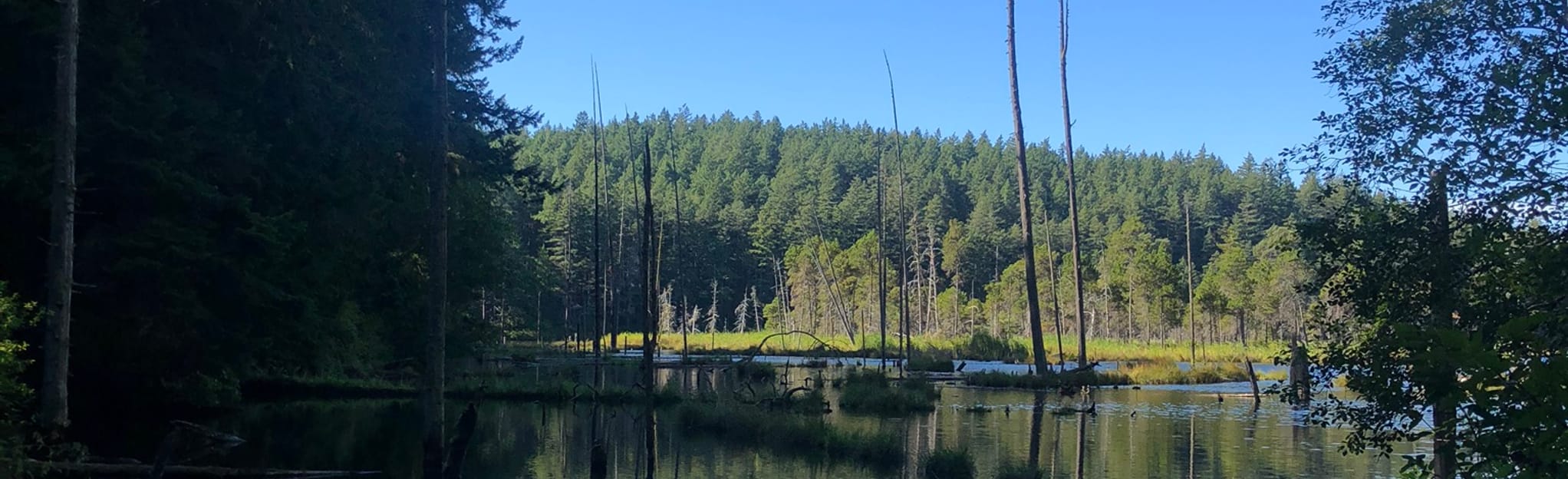 Little Beaver Pond Loop via Trail #104, Washington - 77 Reviews, Map ...