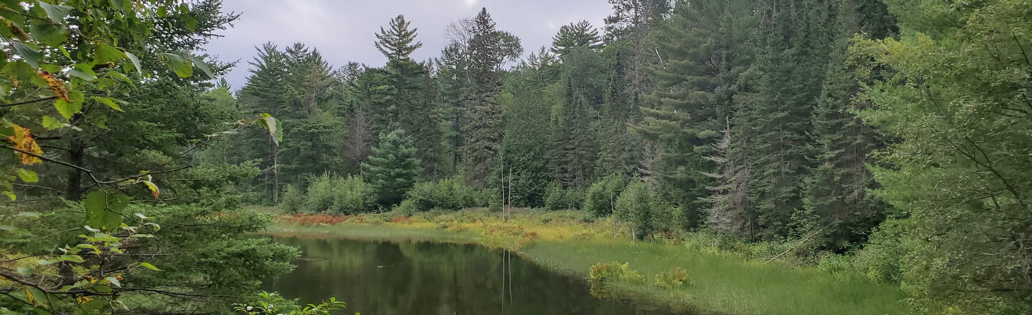 Ferguson Mountain Trail, Ontario, Canada - 2 Reviews, Map | AllTrails