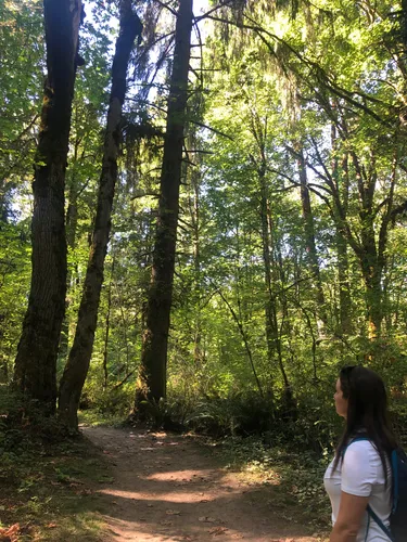 Best Hikes and Trails in Three Forks Park | AllTrails