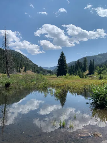 2023 Best Road Biking Trails in Uinta-Wasatch-Cache National Forest ...