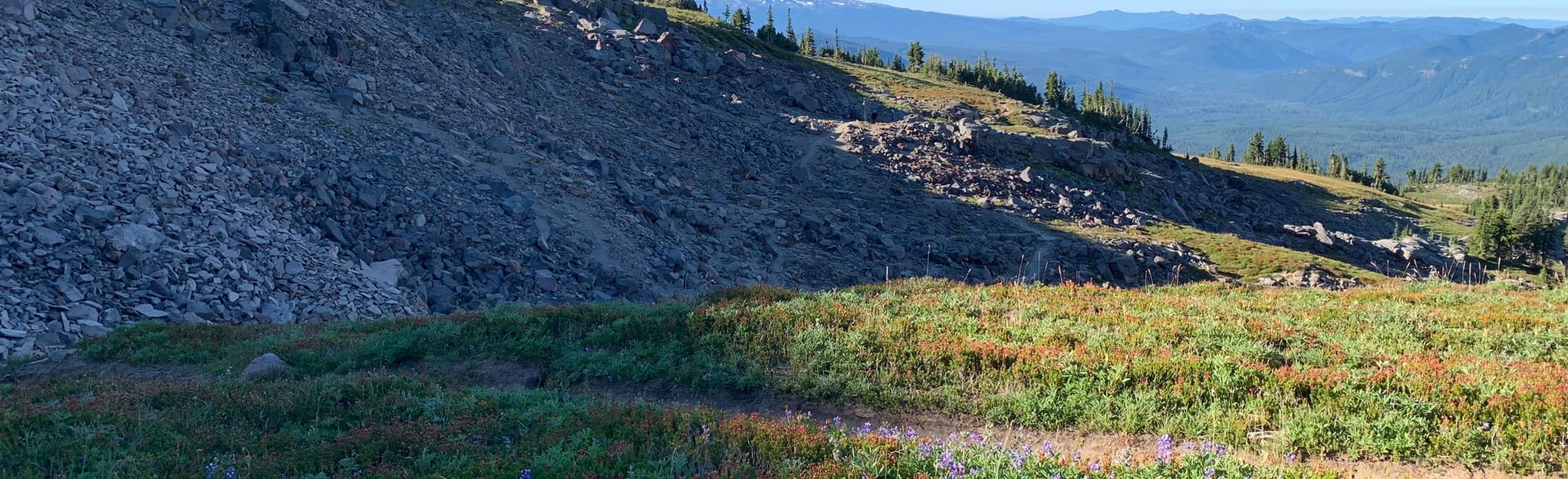 Lily Basin Trail 86 and PCT: 6 Reviews, Map - Washington | AllTrails