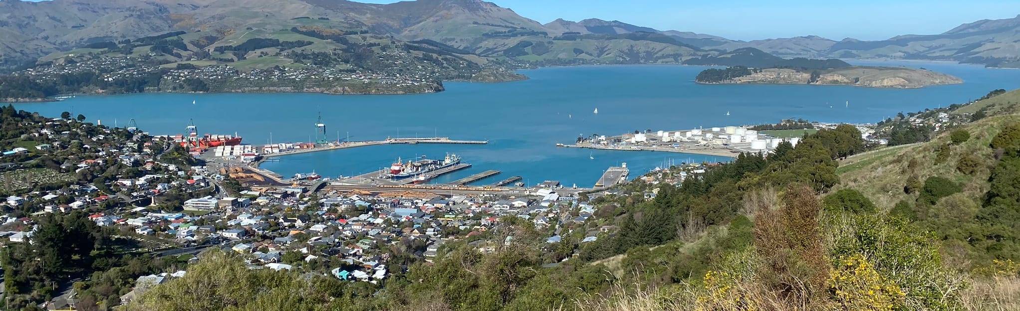 Major Hornbrook Track: 47 fotos - Canterbury, Nova Zelândia | AllTrails