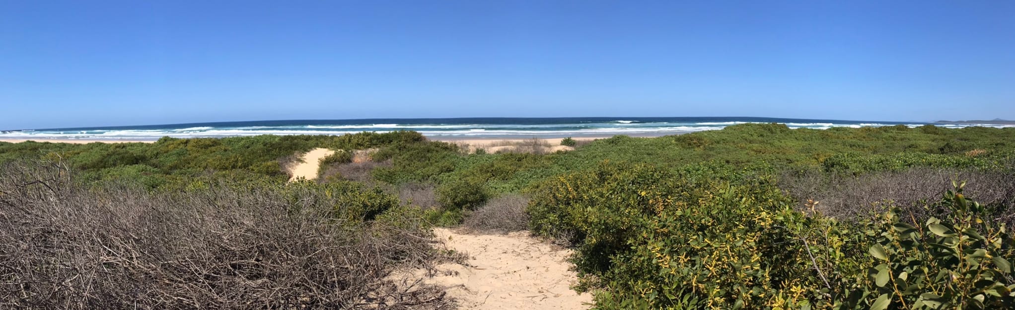 Bongil Beach and Eastern Peninsula Track: 19 Reviews, Map - New South ...