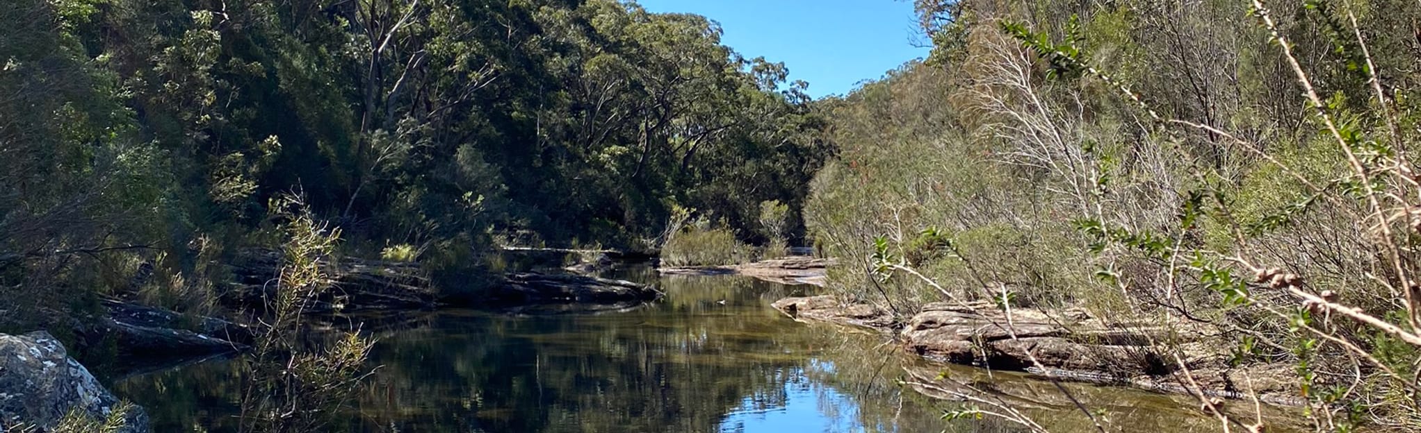 Karloo Track via Engadine Track Loop : 1 498 Photos - Nouvelle-Galles ...