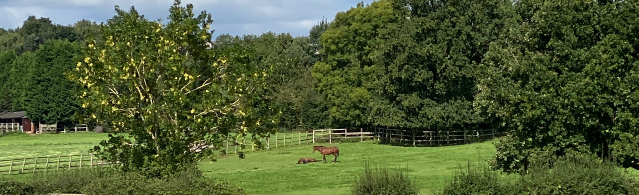 The Red Lion, Longdon and Cannock Chase Walk: 58 Reviews, Map ...
