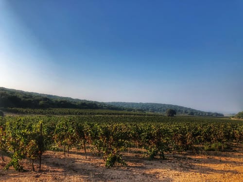 2023 Best Historic Site Trails in Aviel | AllTrails