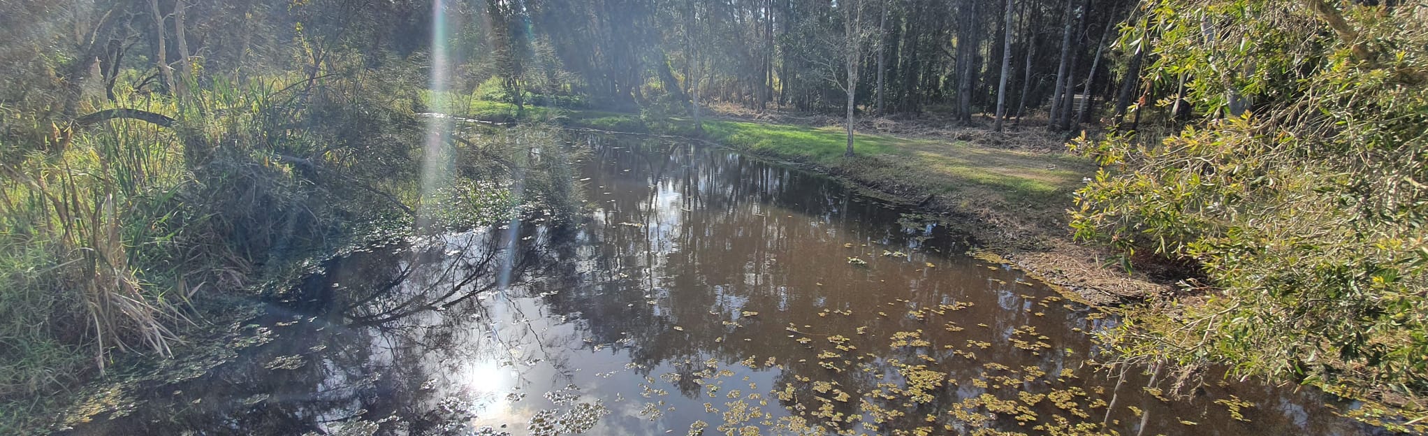 Ransome Reserves Walk: 53 Reviews, Map - Queensland, Australia | AllTrails