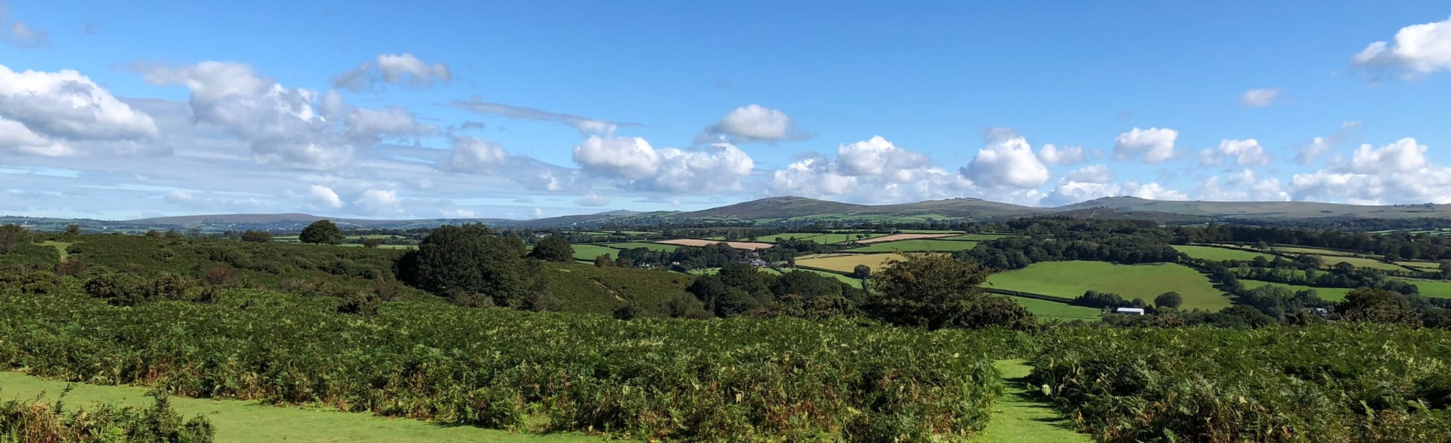 A Walk Across the Walkham, Devon, England - Map, Guide | AllTrails