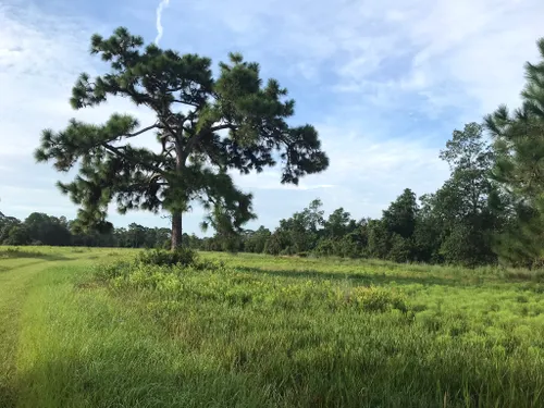 Best Hikes and Trails in Split Oak Forest Wildlife And Environmental ...