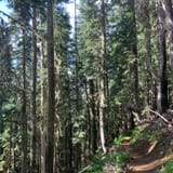 Triangulation Peak and Boca Cave Trail, Oregon - 487 Reviews, Map ...