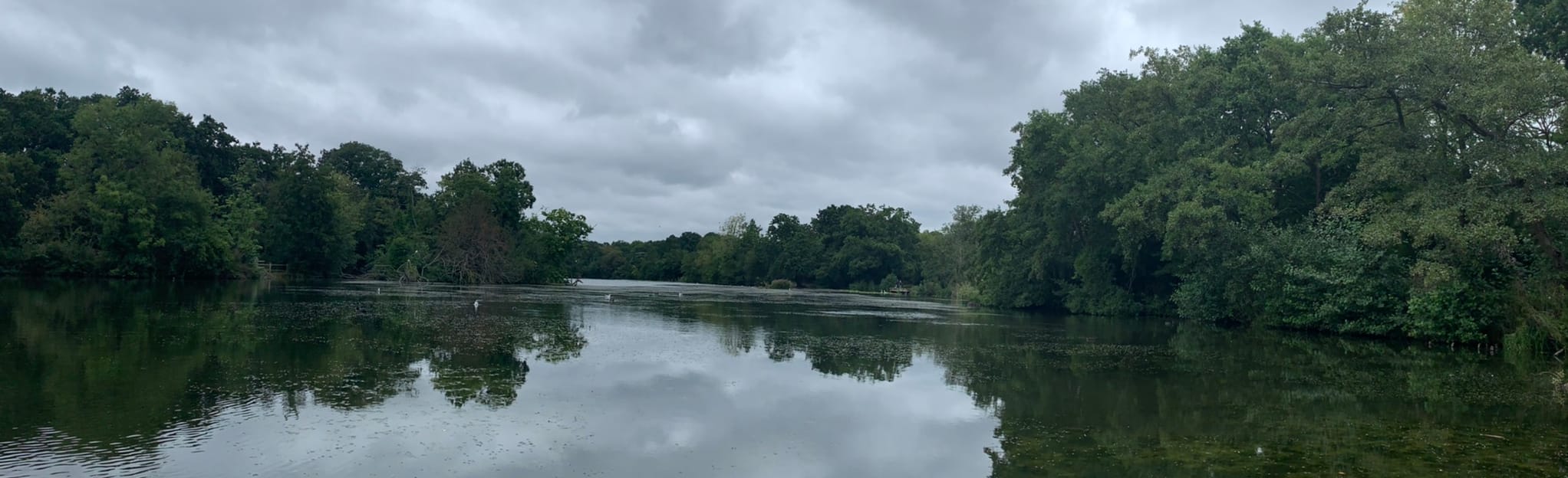 Highams Park Circular: 8 Reviews, Map - London, England | AllTrails