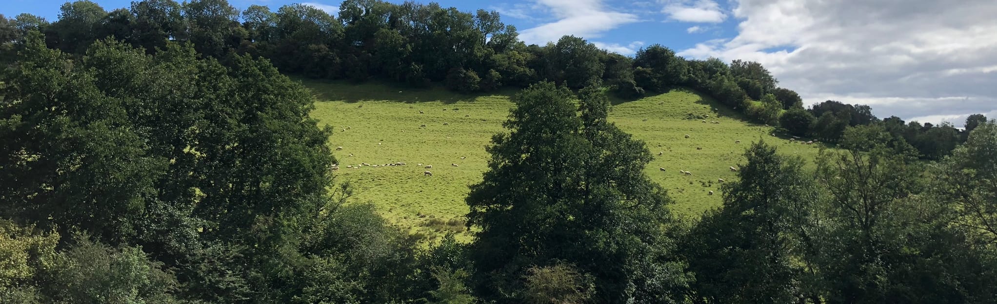 Marshfield Circular: 32 Reviews, Map - Gloucestershire, England | AllTrails