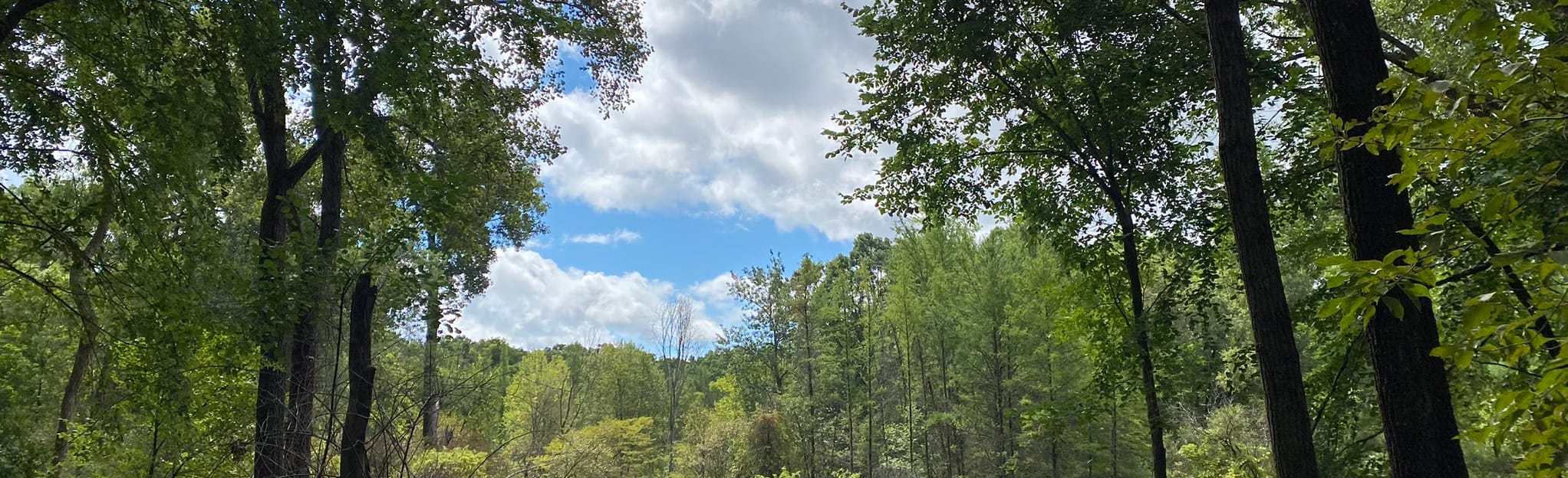 Fox Trail and Chicadee Loop: 208 Reviews, Map - Michigan | AllTrails