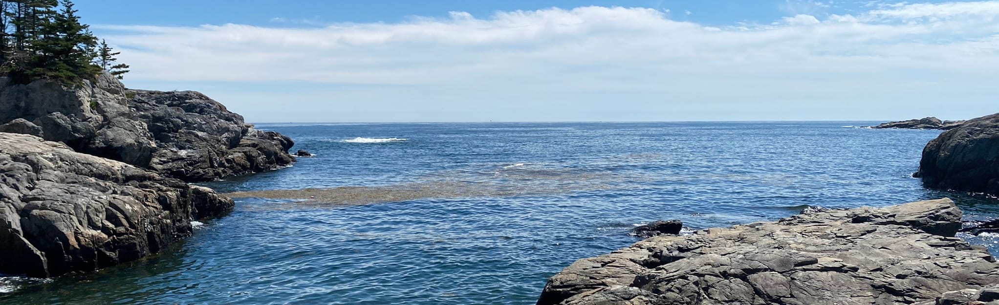 Western Head and Cliff Trail, Maine - 89 Reviews, Map | AllTrails