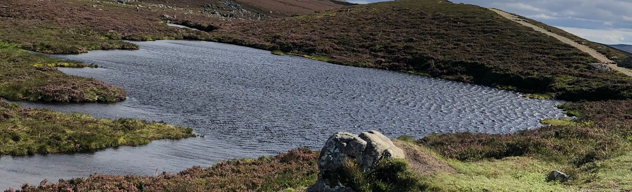 Loch Brandy Trail and Trout Loch Path: 21 Reviews, Map - Angus ...
