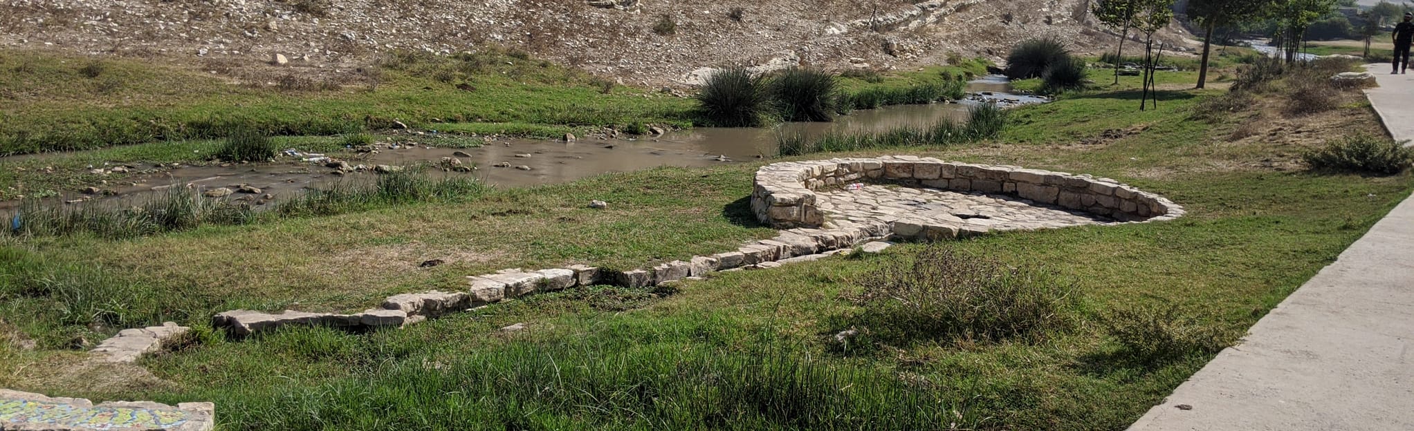 Kiryat Ata Forest Perimeter Loop: 47 Fotos - Haifa, Israel | AllTrails