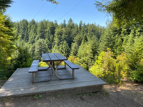 10 Best Forest Trails in Arcata Community Forest | AllTrails