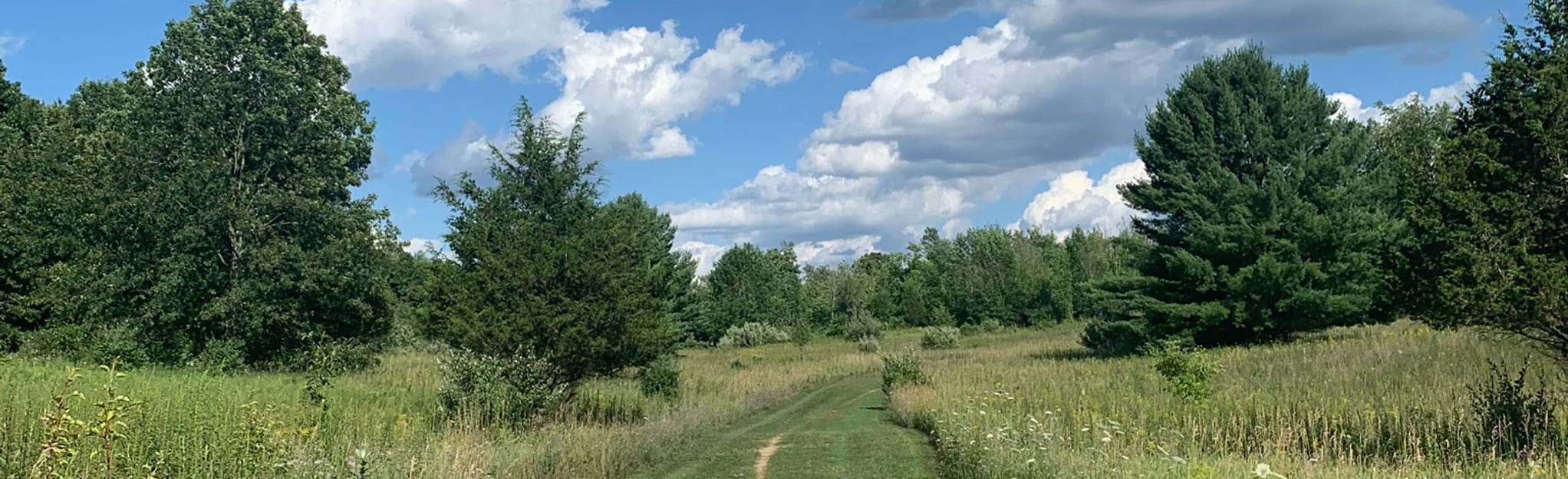 Orion Oaks Outer Loop | Map, Guide - Michigan | AllTrails