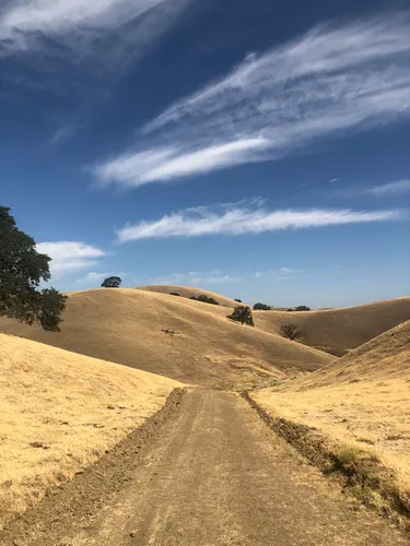 10 Best Hikes and Trails in Los Vaqueros Reservoir and Watershed ...