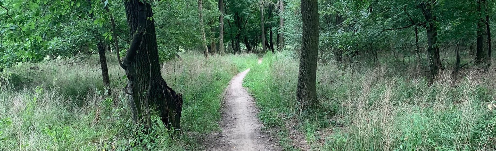 Tunari Forest: 30 Reviews, Map - Bucharest, Romania | AllTrails