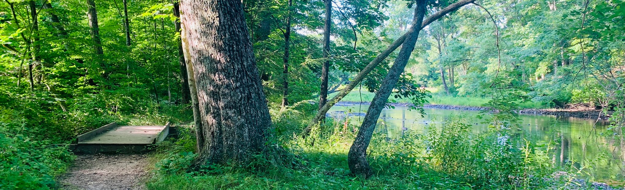 Merrow Meadow Park, Connecticut - 69 Reviews, Map | AllTrails