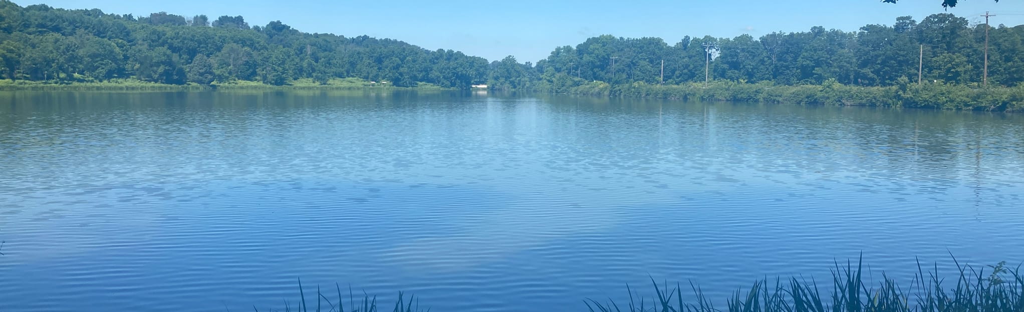 Lake Redman Trail 5 Loop | Map, Guide - Pennsylvania | AllTrails