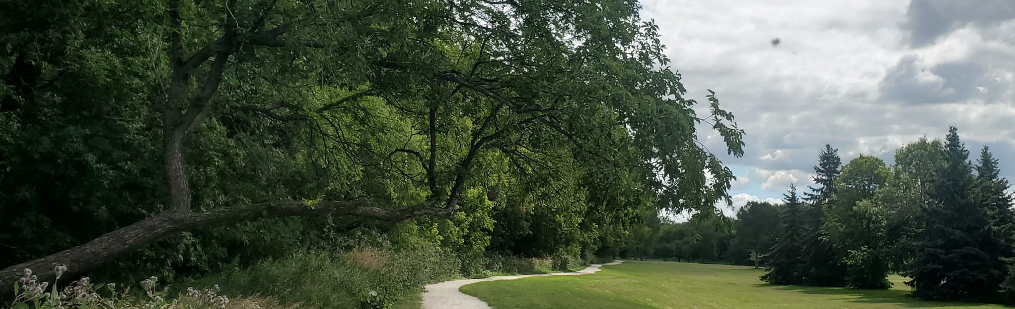 Whittier River Trail, Manitoba, Canada - 136 Reviews, Map | AllTrails