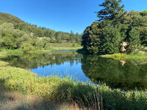 10 Best Hikes and Trails in Skyline Ridge Open Space Preserve | AllTrails