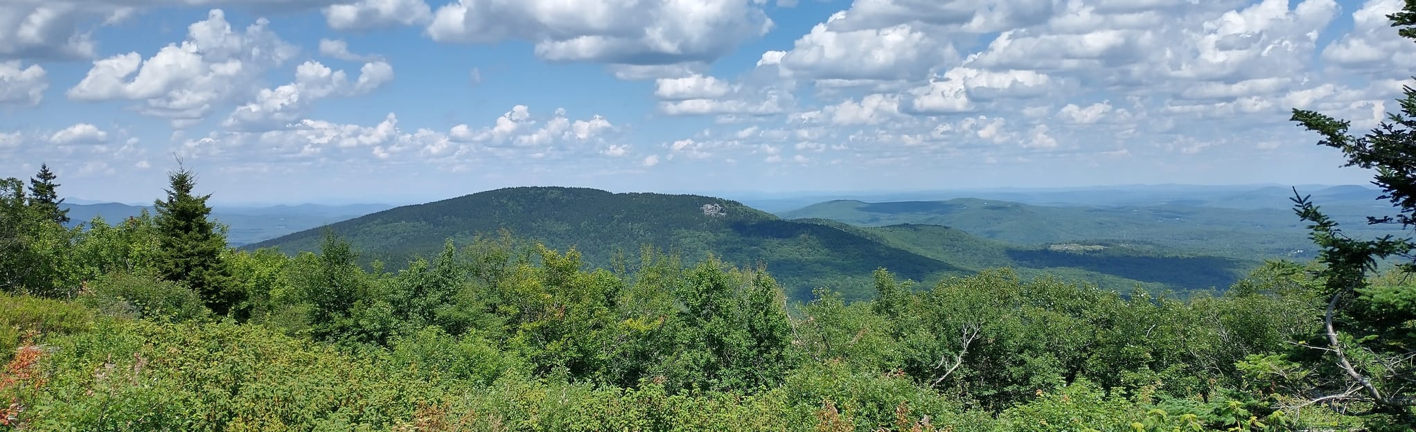 Wapack Trail: Mountain Road to Miller State Park: 2.120 fotos - Nova Hampshire | AllTrails